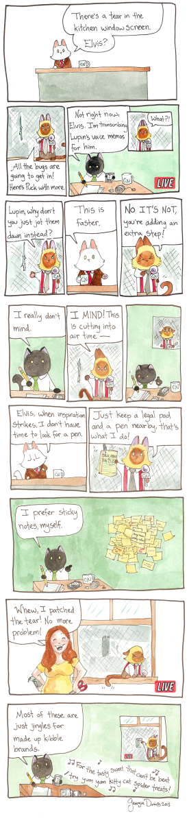 There’s a tear in the kitchen window screen. – BREAKING CAT NEWS